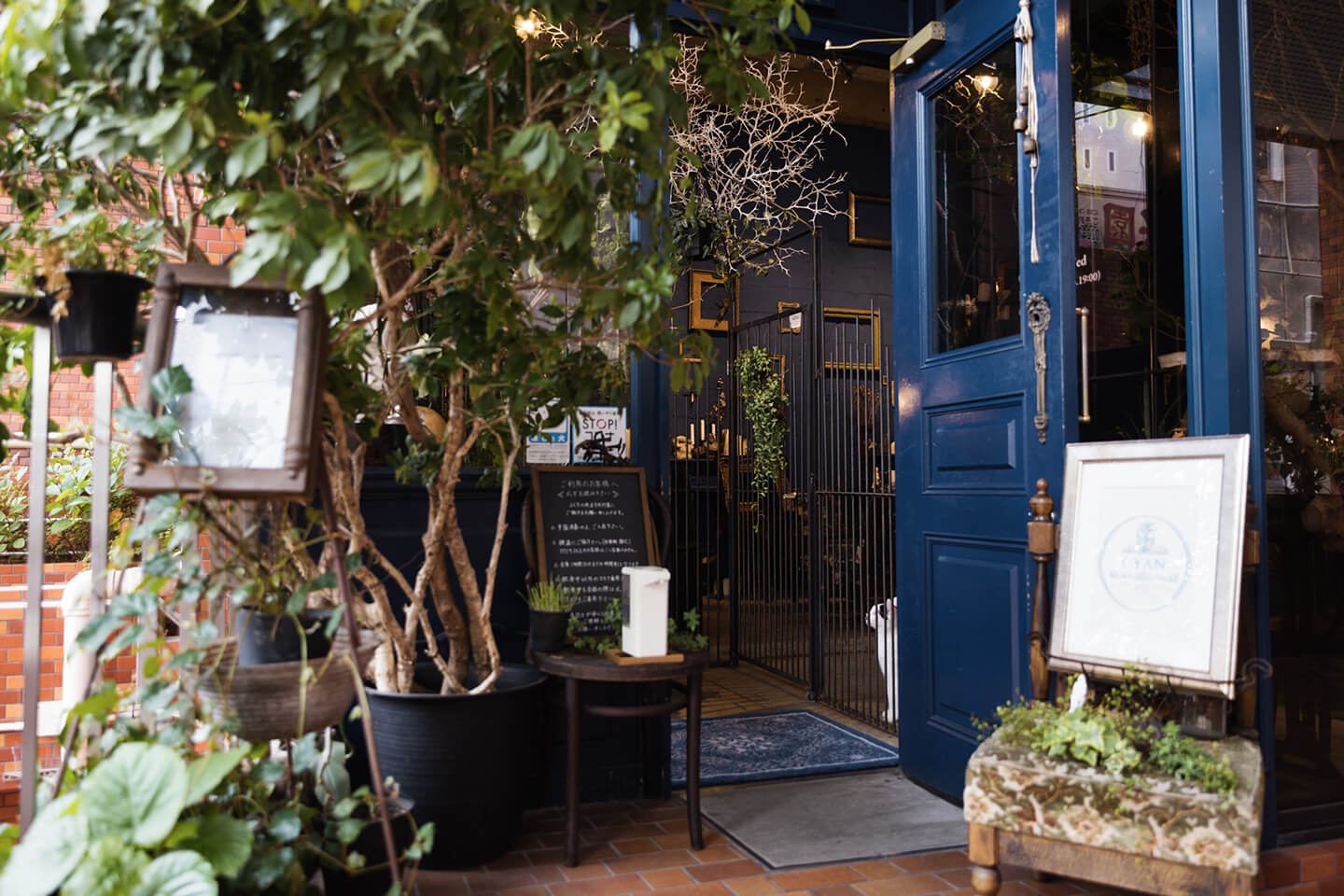 Cafe Cyan – Magenta – Beautiful Life with Flower